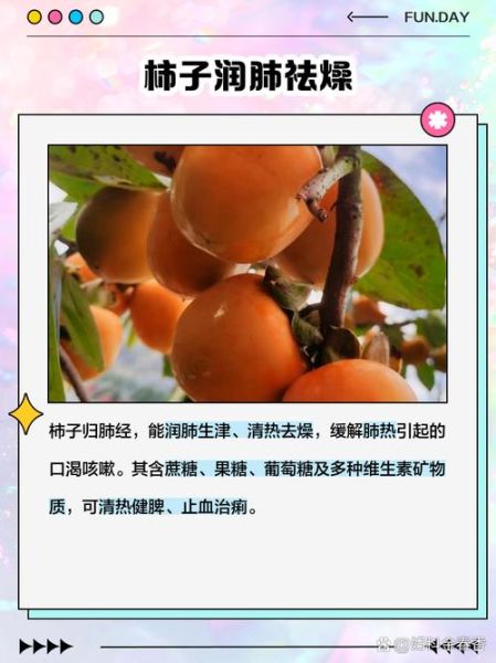 吃柿子的好处和坏处_吃柿子要注意什么-第3张图片-山城妙识