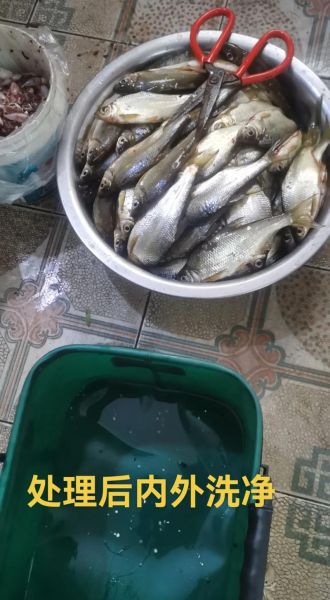 湖南腊鱼怎么做好吃又简单_家常做法步骤-第1张图片-山城妙识