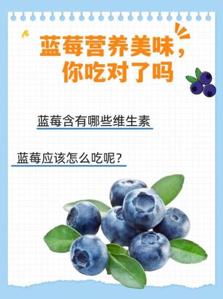 蓝莓可以吃皮吗_蓝莓皮的营养价值-第2张图片-山城妙识