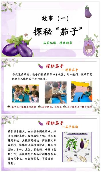 茄子拼音怎么拼_茄子拼音声调怎么标-第1张图片-山城妙识 茄子拼音怎么拼_茄子拼音声调怎么标-第1张图片-山城妙识