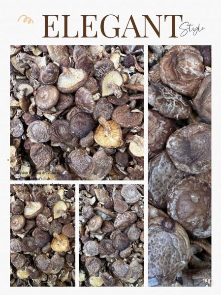 椴木香菇怎么挑选_椴木香菇多少钱一斤-第1张图片-山城妙识 椴木香菇怎么挑选_椴木香菇多少钱一斤-第1张图片-山城妙识