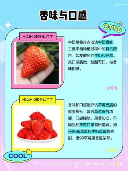草莓牛奶什么意思污_草莓牛奶网络梗解析-第1张图片-山城妙识
