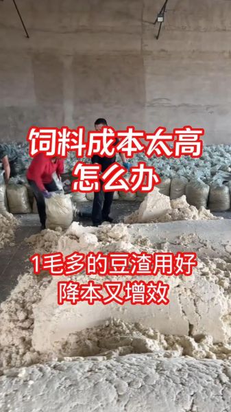 发酵豆渣的营养价值_如何科学食用-第1张图片-山城妙识 发酵豆渣的营养价值_如何科学食用-第1张图片-山城妙识
