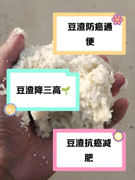 发酵豆渣的营养价值_如何科学食用-第3张图片-山城妙识 发酵豆渣的营养价值_如何科学食用-第3张图片-山城妙识