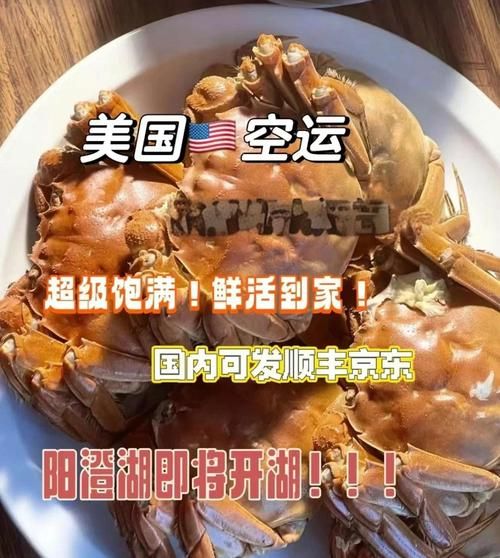 阳澄湖大闸蟹10只价格_怎么挑选正宗-第3张图片-山城妙识