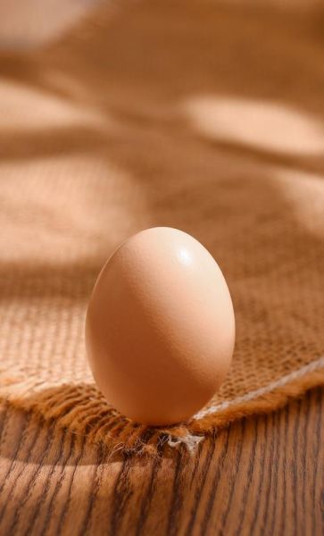 鸡蛋图片高清_如何拍摄-第3张图片-山城妙识