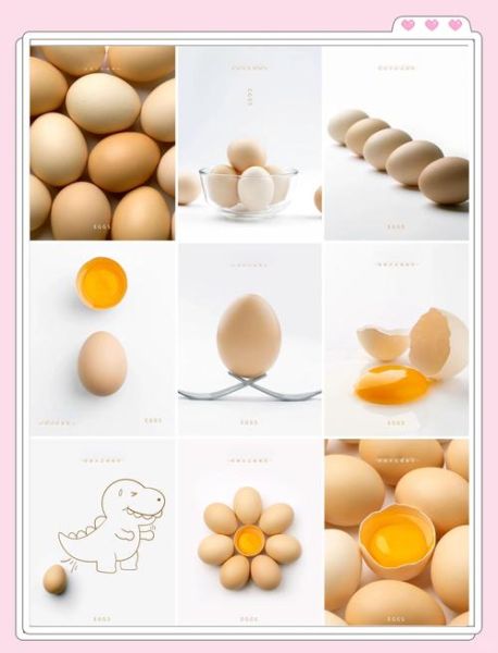 鸡蛋图片高清_如何拍摄-第1张图片-山城妙识