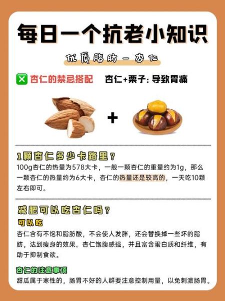 杏仁怎么吃_杏仁一天吃多少粒合适-第1张图片-山城妙识