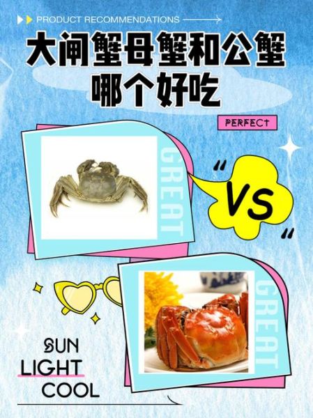 大闸蟹公母大小对比_几两重才好吃-第3张图片-山城妙识