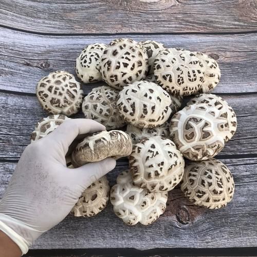 冬菇是什么样子_冬菇和香菇的区别-第3张图片-山城妙识