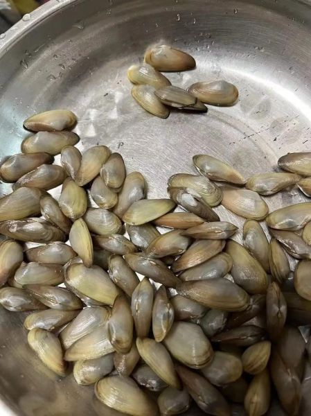 海瓜子干怎么泡发_海瓜子干做法大全-第2张图片-山城妙识