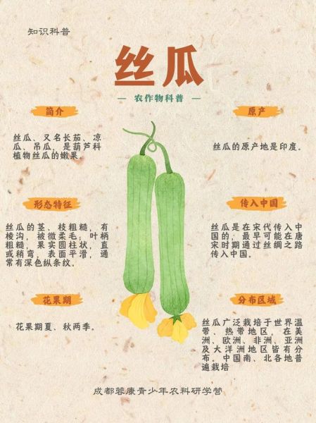 丝瓜藤肉豆须的区别_哪个更好吃-第1张图片-山城妙识 丝瓜藤肉豆须的区别_哪个更好吃-第1张图片-山城妙识