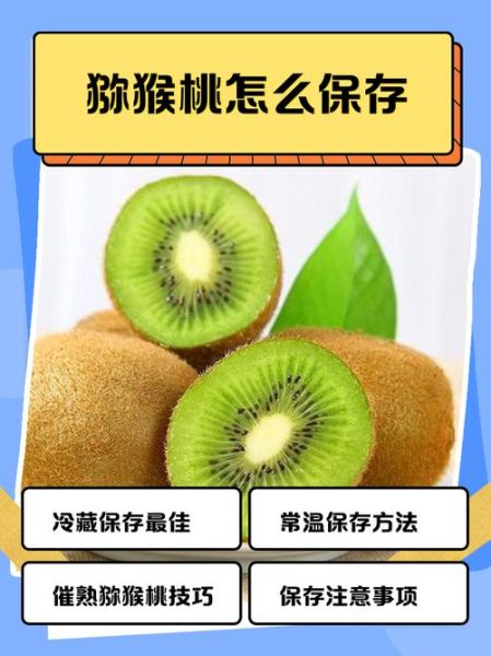 猕猴桃怎么保存_猕猴桃可以放多久-第2张图片-山城妙识