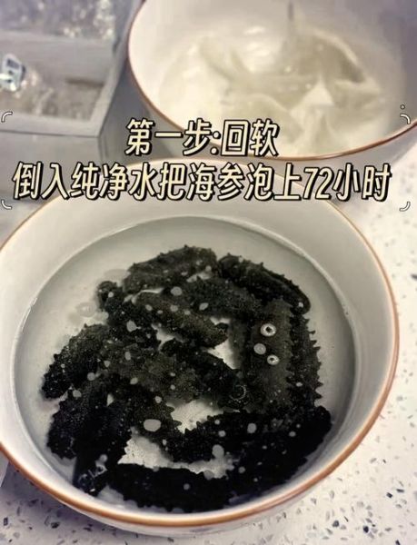 干海参怎么泡发_干海参家常做法大全-第3张图片-山城妙识 干海参怎么泡发_干海参家常做法大全-第3张图片-山城妙识