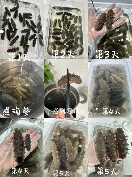 干海参怎么泡发_干海参家常做法大全-第2张图片-山城妙识 干海参怎么泡发_干海参家常做法大全-第2张图片-山城妙识