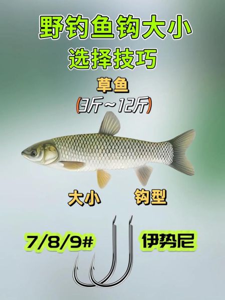钓鲳鱼用什么钩_钓鲳鱼钩型选择-第3张图片-山城妙识