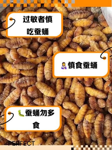 蚕蛹不能和什么一起吃_吃蚕蛹的禁忌食物有哪些-第2张图片-山城妙识