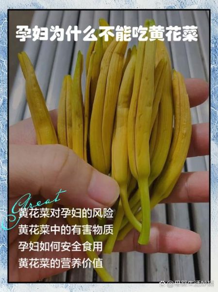 黄花菜的功效与作用有哪些_孕妇能吃黄花菜吗-第3张图片-山城妙识 黄花菜的功效与作用有哪些_孕妇能吃黄花菜吗-第3张图片-山城妙识