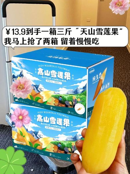 天山雪莲多少钱一朵_正宗雪莲价格区间-第1张图片-山城妙识 天山雪莲多少钱一朵_正宗雪莲价格区间-第1张图片-山城妙识