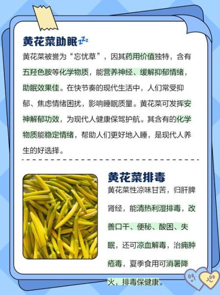 黄花菜的功效与作用有哪些_孕妇能吃黄花菜吗-第2张图片-山城妙识 黄花菜的功效与作用有哪些_孕妇能吃黄花菜吗-第2张图片-山城妙识