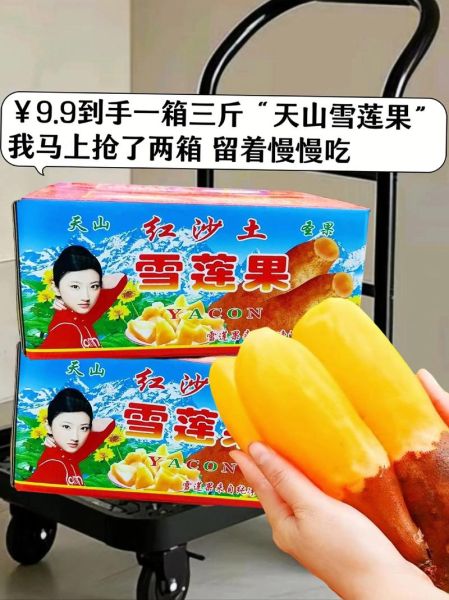 天山雪莲多少钱一朵_正宗雪莲价格区间-第2张图片-山城妙识 天山雪莲多少钱一朵_正宗雪莲价格区间-第2张图片-山城妙识