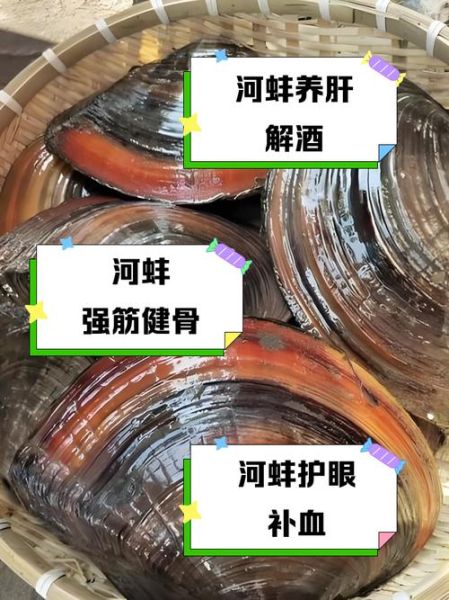 家里养河蚌会倒霉吗_风水禁忌真相-第3张图片-山城妙识 家里养河蚌会倒霉吗_风水禁忌真相-第3张图片-山城妙识