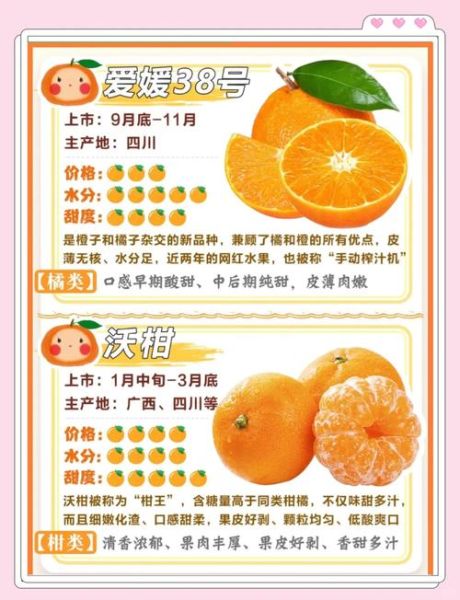最好吃的橙子排名_哪种橙子最甜-第3张图片-山城妙识