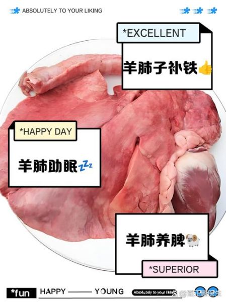 羊肺子怎么清洗_羊肺子怎么煮才没腥味-第2张图片-山城妙识