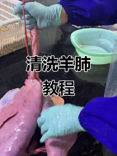 羊肺子怎么清洗_羊肺子怎么煮才没腥味-第1张图片-山城妙识