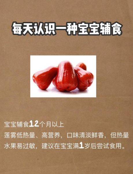 莲雾怎么吃_莲雾的营养价值有哪些-第3张图片-山城妙识 莲雾怎么吃_莲雾的营养价值有哪些-第3张图片-山城妙识