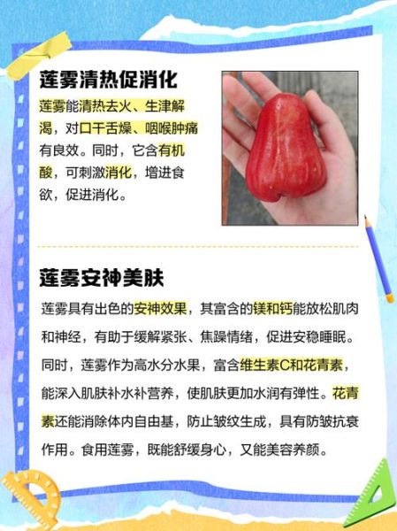 莲雾怎么吃_莲雾的营养价值有哪些-第2张图片-山城妙识 莲雾怎么吃_莲雾的营养价值有哪些-第2张图片-山城妙识