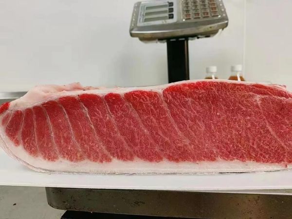 蓝鳍金枪鱼大腹多少钱一斤_如何挑选顶级部位-第2张图片-山城妙识