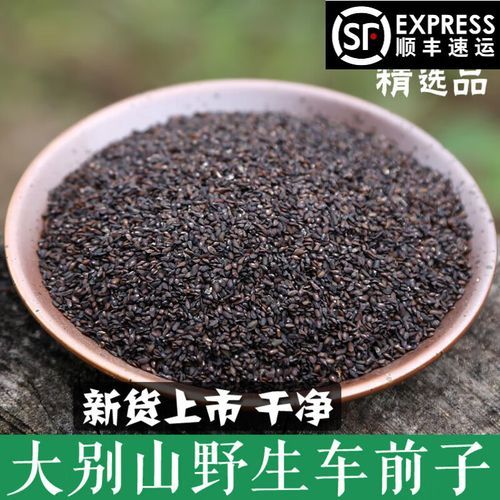 车前子泡水喝的功效_车前子泡水一天喝几次-第2张图片-山城妙识