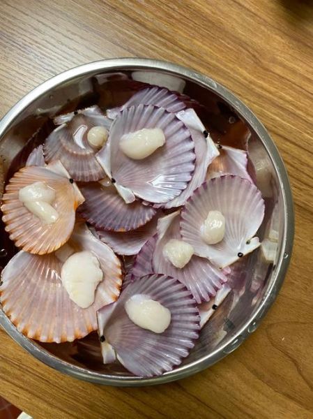 扇贝肉内脏怎么清理_扇贝内脏清理图解-第2张图片-山城妙识