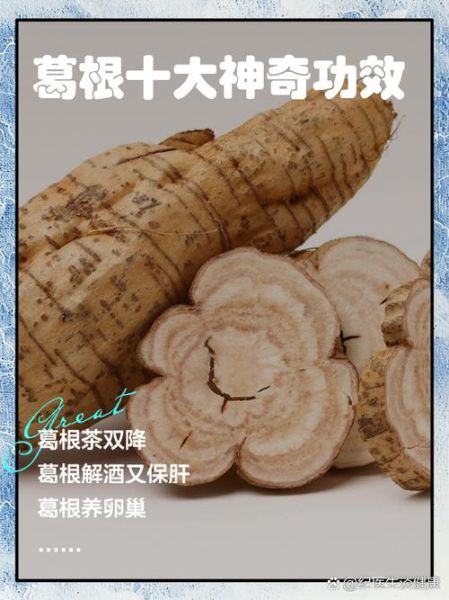粉葛的功效与作用是什么_粉葛怎么吃最养生-第3张图片-山城妙识 粉葛的功效与作用是什么_粉葛怎么吃最养生-第3张图片-山城妙识