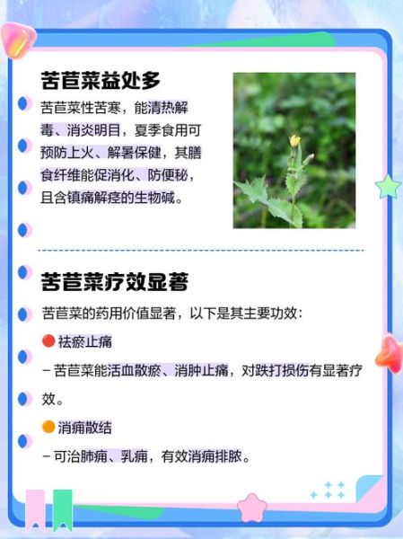 苦苣菜的功效与作用_苦苣菜怎么吃最养肝-第3张图片-山城妙识