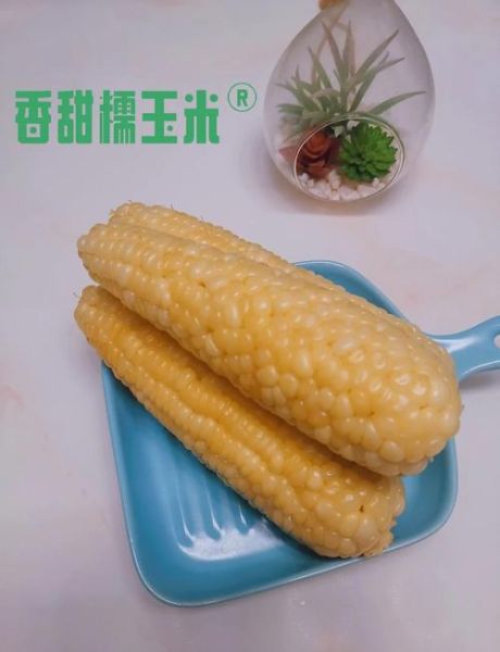 玉米煮多久能熟_玉米煮多久才软糯-第3张图片-山城妙识 玉米煮多久能熟_玉米煮多久才软糯-第3张图片-山城妙识