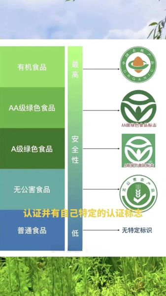 绿色食品指什么食品_绿色食品与普通食品区别-第1张图片-山城妙识