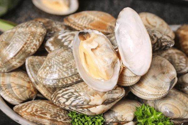 盐水泡花甲为什么都死了_花甲用盐水泡多久才不死-第3张图片-山城妙识