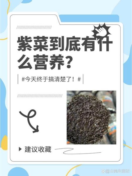 紫菜的营养价值_紫菜的禁忌人群-第3张图片-山城妙识 紫菜的营养价值_紫菜的禁忌人群-第3张图片-山城妙识