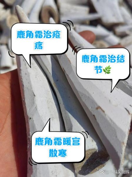 鹿角霜的功效与作用_鹿角霜主治什么病-第2张图片-山城妙识 鹿角霜的功效与作用_鹿角霜主治什么病-第2张图片-山城妙识