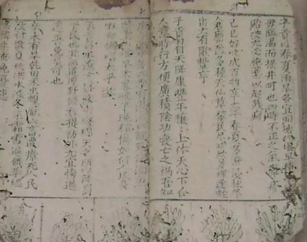 瓜蒌薤白白酒汤用量多少_瓜蒌薤白白酒汤配方比例-第2张图片-山城妙识