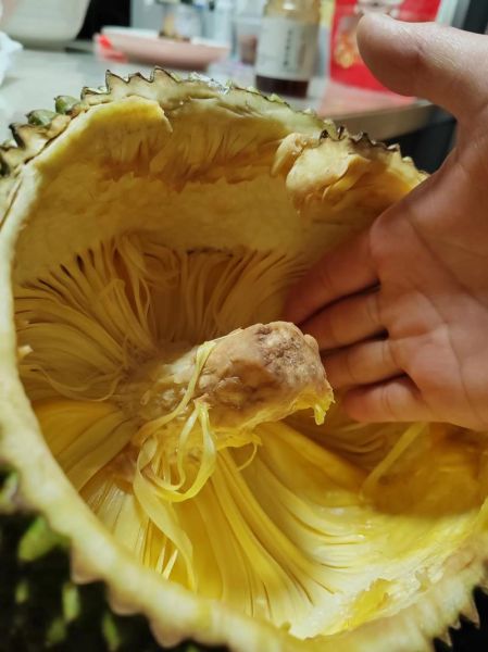 菠萝菠萝蜜视频5怎么下载_菠萝菠萝蜜视频5安全吗-第1张图片-山城妙识