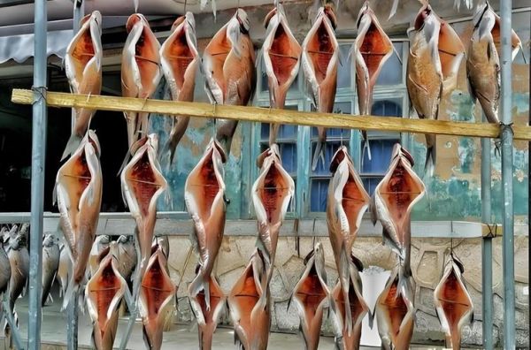 腌制腊鱼一斤放多少盐_腊鱼盐量怎么掌握-第3张图片-山城妙识