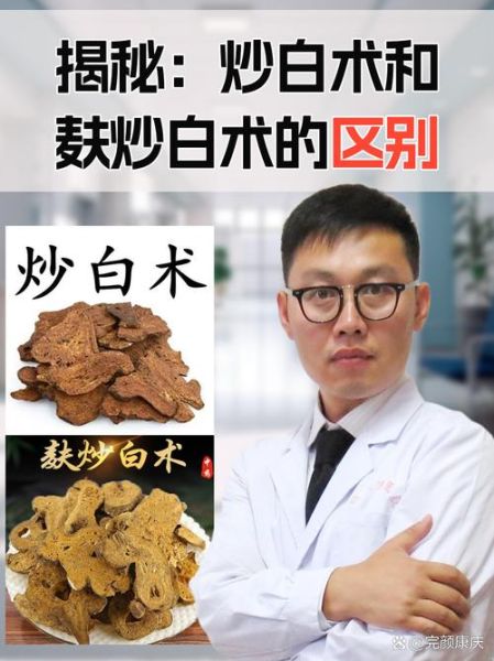 白术炒与不炒的区别_生白术和炒白术功效差异-第3张图片-山城妙识