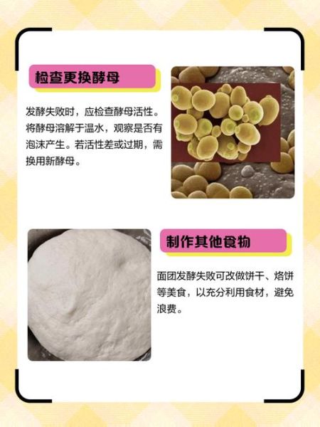 面点怎么和面更筋道_面点发酵失败怎么办-第1张图片-山城妙识 面点怎么和面更筋道_面点发酵失败怎么办-第1张图片-山城妙识
