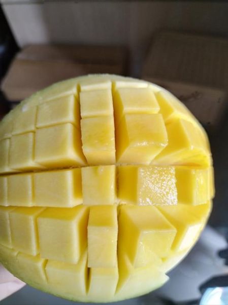 芒果怎么吃最好吃_芒果的吃法大全集-第2张图片-山城妙识