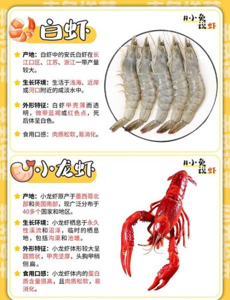 虾的营养价值高吗_虾的禁忌有哪些-第1张图片-山城妙识