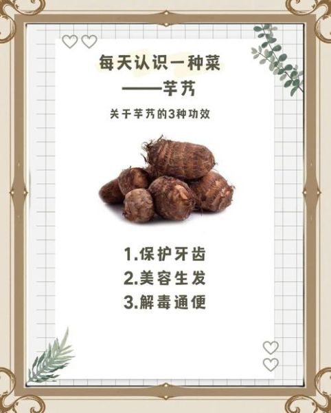 芋艿的功效与作用_芋艿的禁忌人群有哪些-第3张图片-山城妙识
