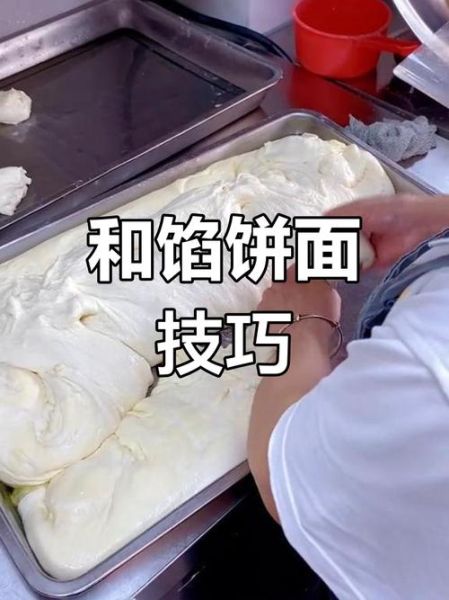 馅饼皮怎么和面才软_馅饼面软和法-第2张图片-山城妙识 馅饼皮怎么和面才软_馅饼面软和法-第2张图片-山城妙识
